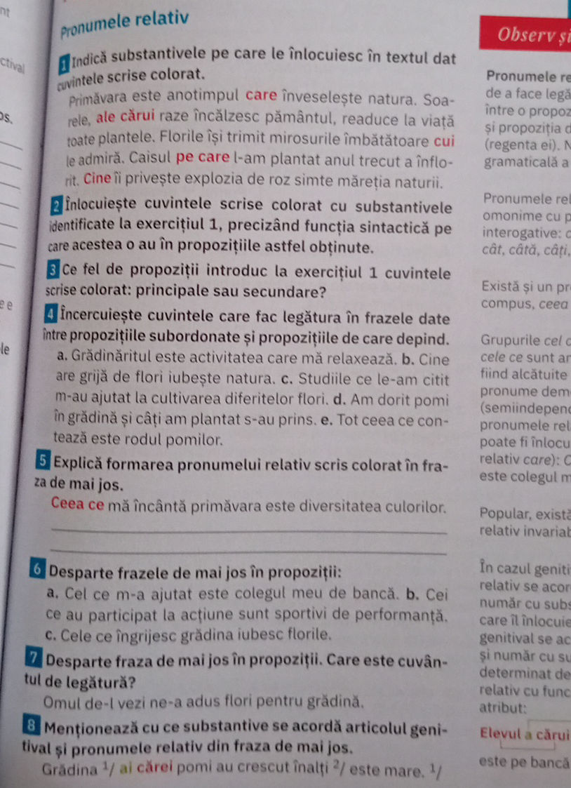 1 Indică substantivele pe care le înlocuiesc | StudyX