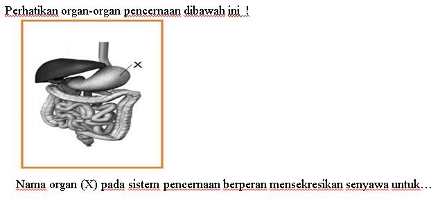 Perhatikan organ-organ pencernaan dibawah | StudyX