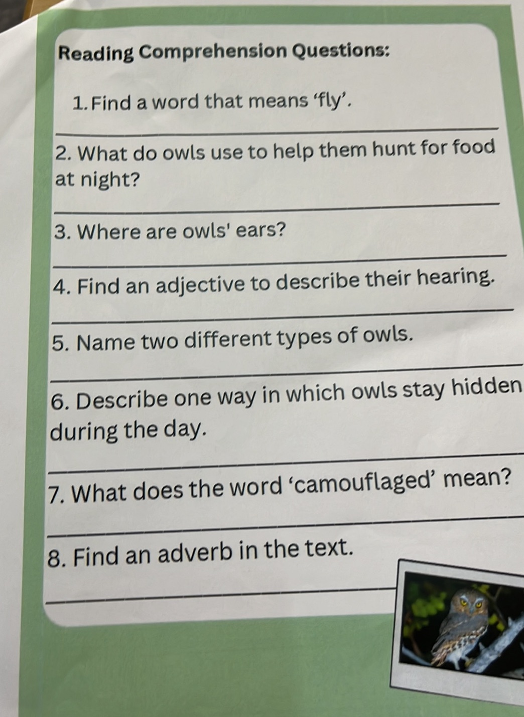 Reading Comprehension Questions: 1. Find a | StudyX