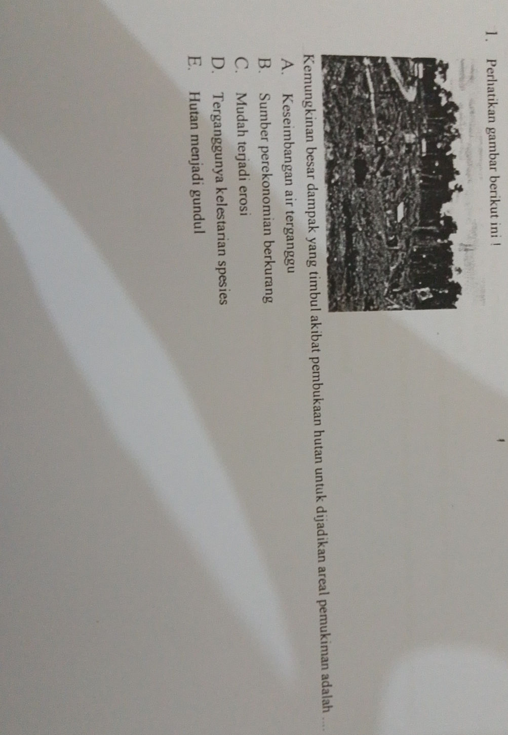 1. Perhatikan gambar berikut ini ! | StudyX