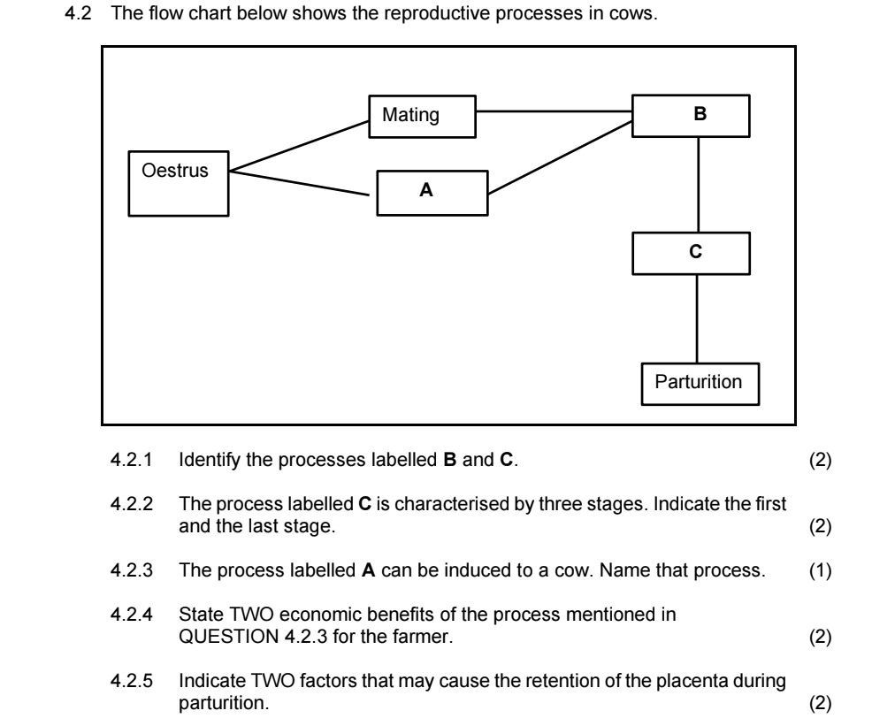 4.2 The flow chart below shows the | StudyX