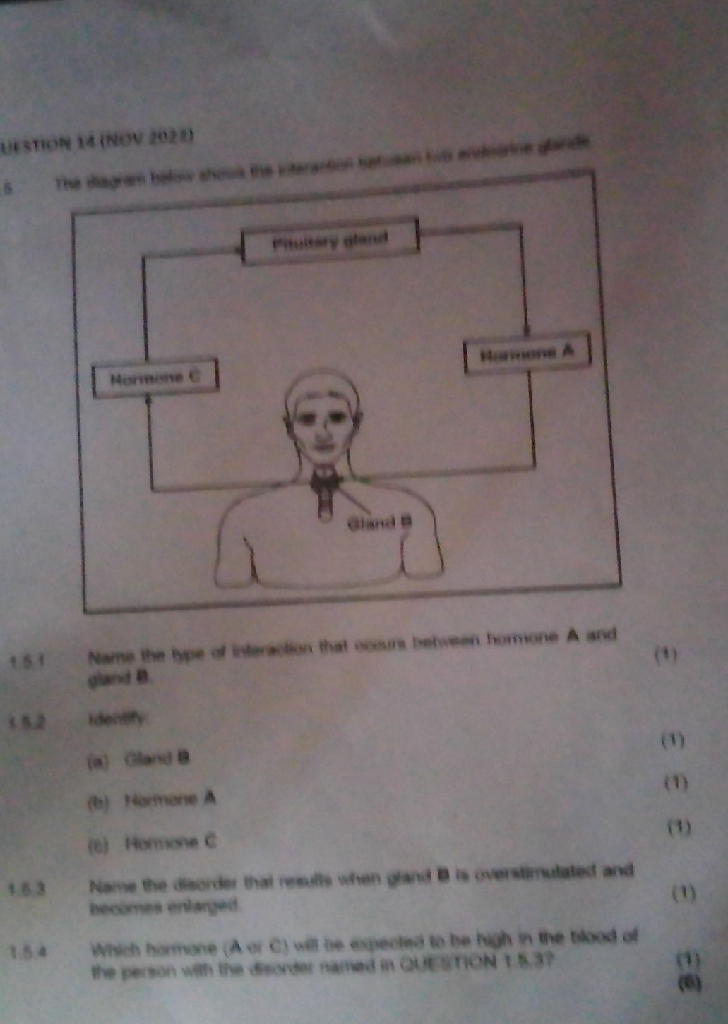The diagram below shows the interaction | StudyX
