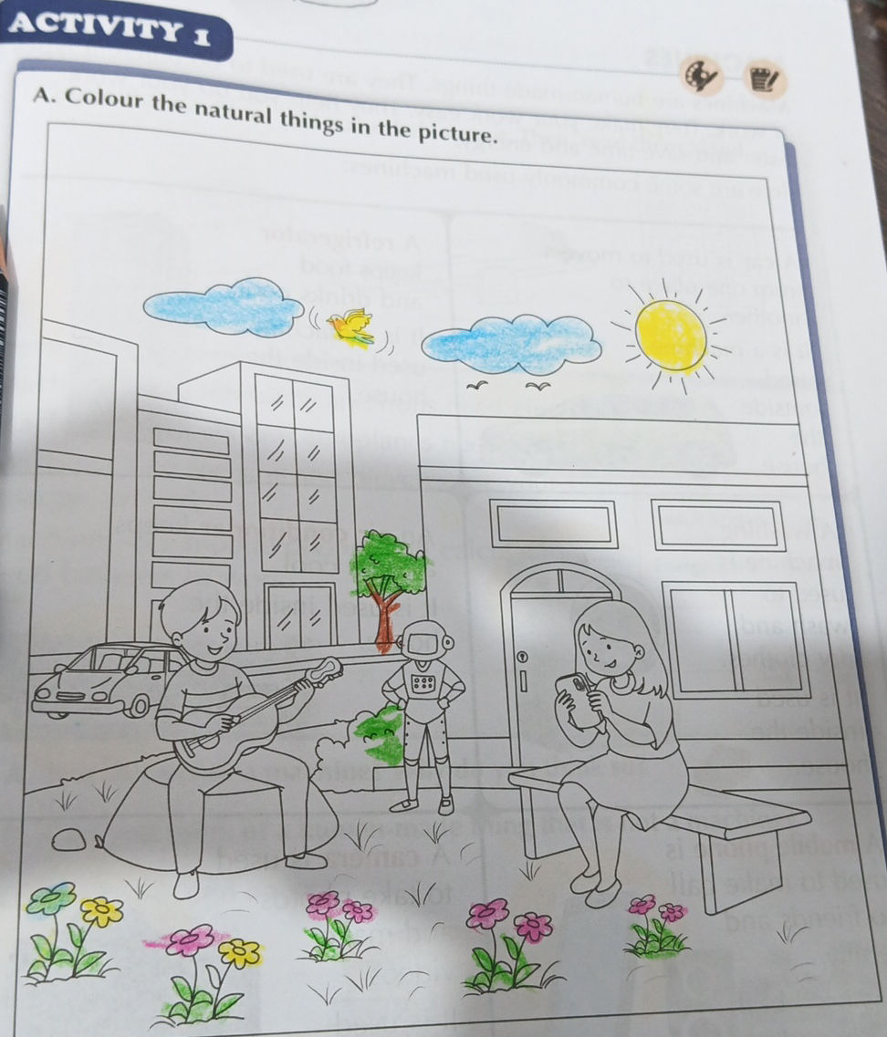 A. Colour the natural things in the picture. | StudyX