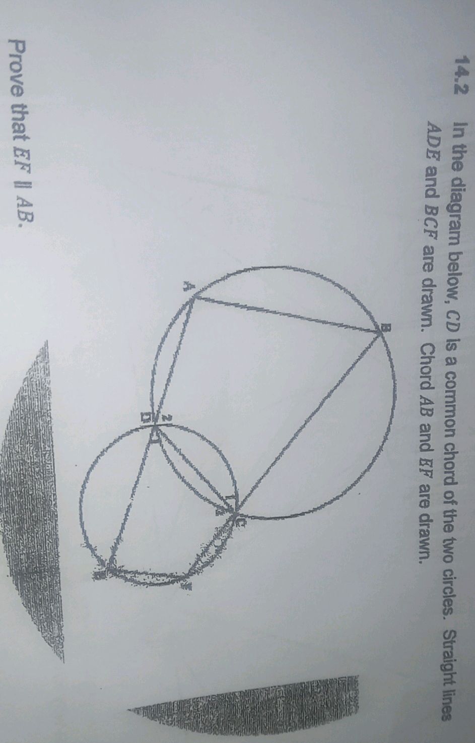 14.2 In the diagram below, CD is a common | StudyX