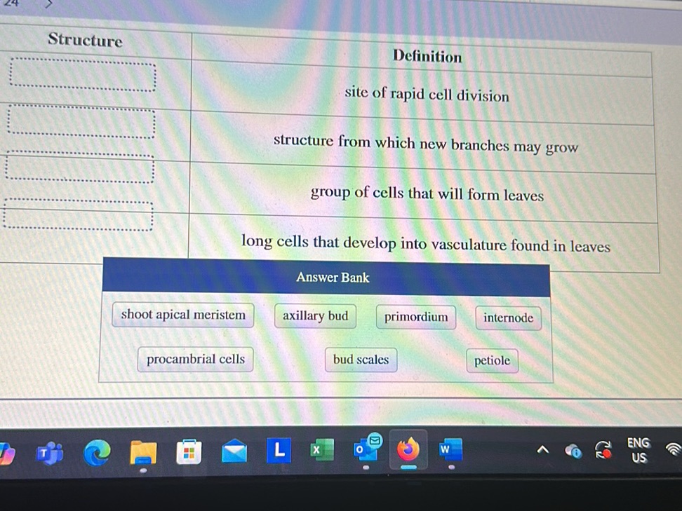 Structure | Definition ---|--- | site of | StudyX