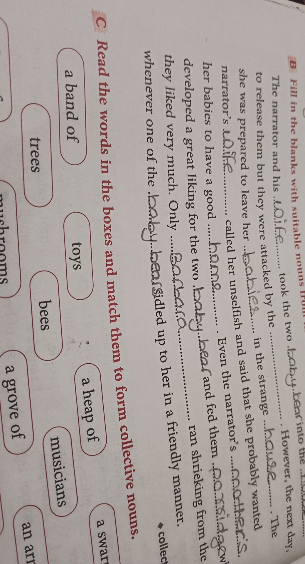 C Read the words in the boxes and match them | StudyX