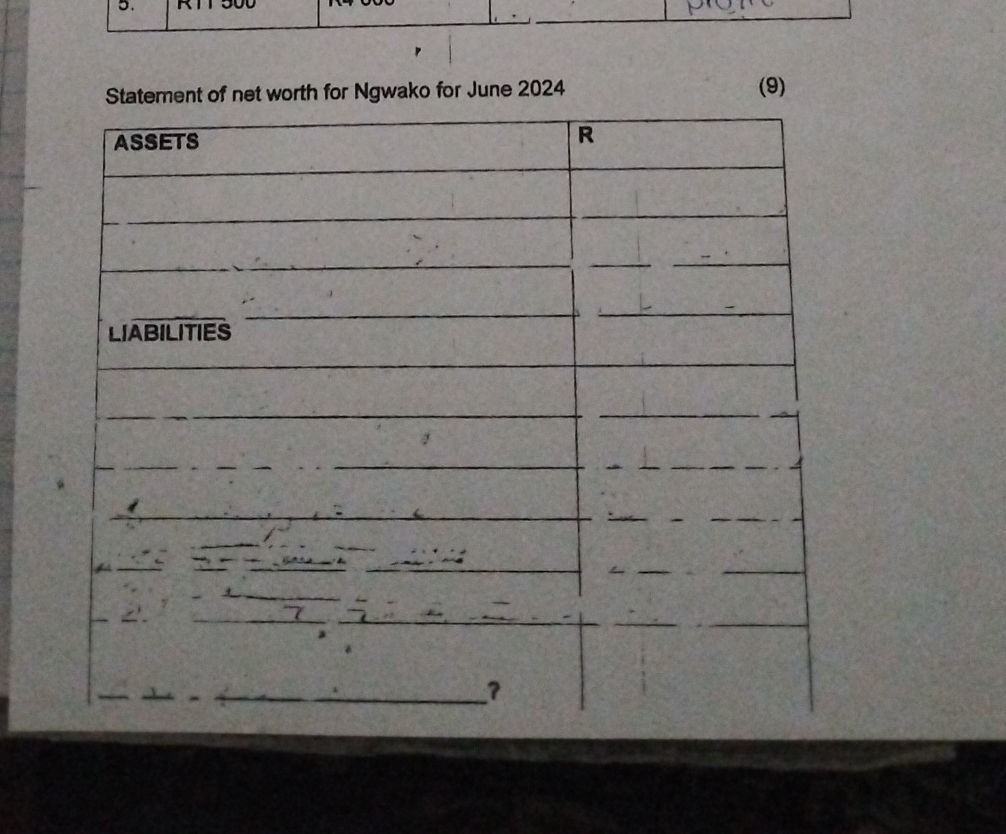 Statement of net worth for Ngwako for June | StudyX