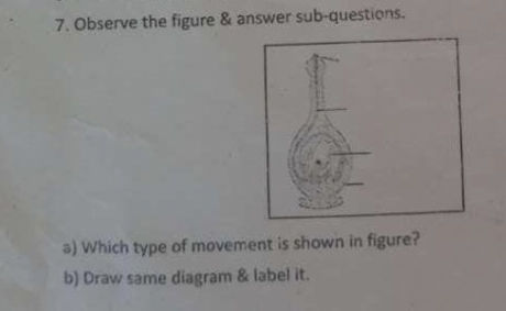 7. Observe the figure answer | StudyX