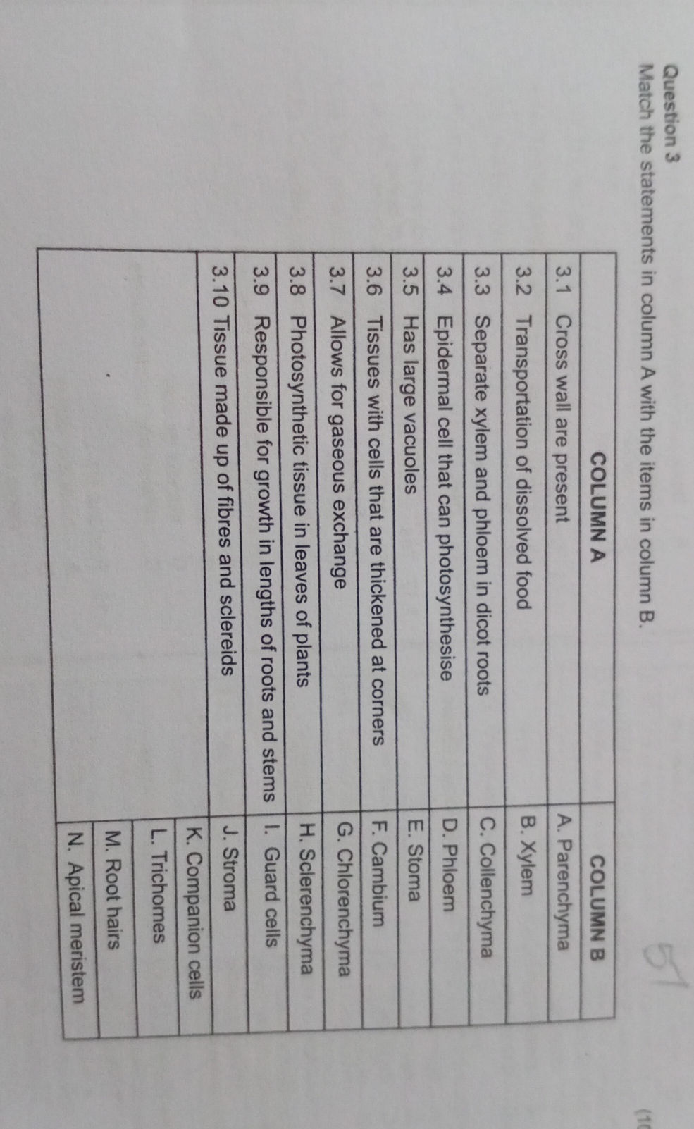 Match the statements in column A with the | StudyX