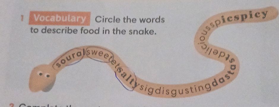 1 Vocabulary Circle the words to describe | StudyX