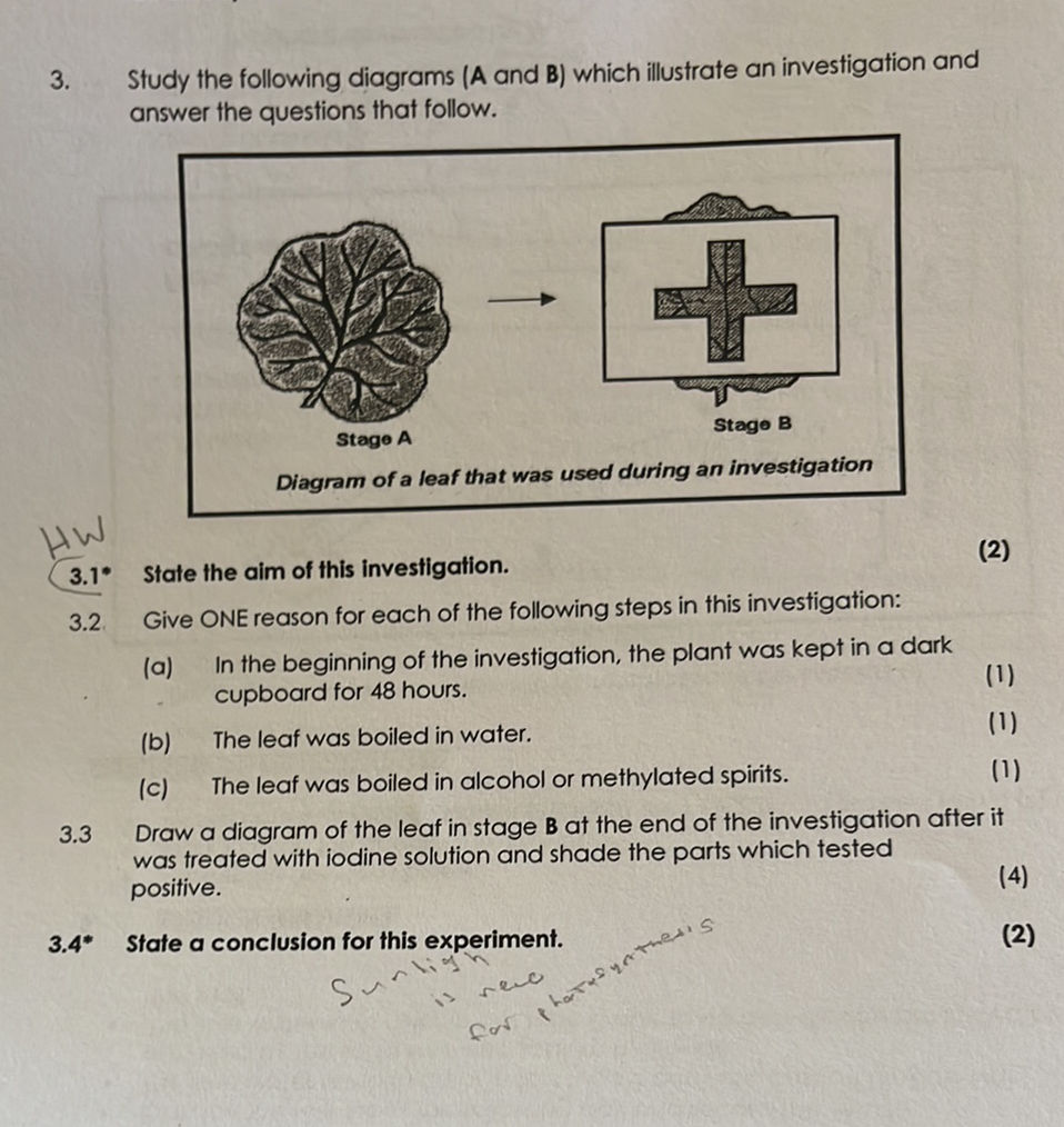3. Study the following diagrams (A and B) | StudyX
