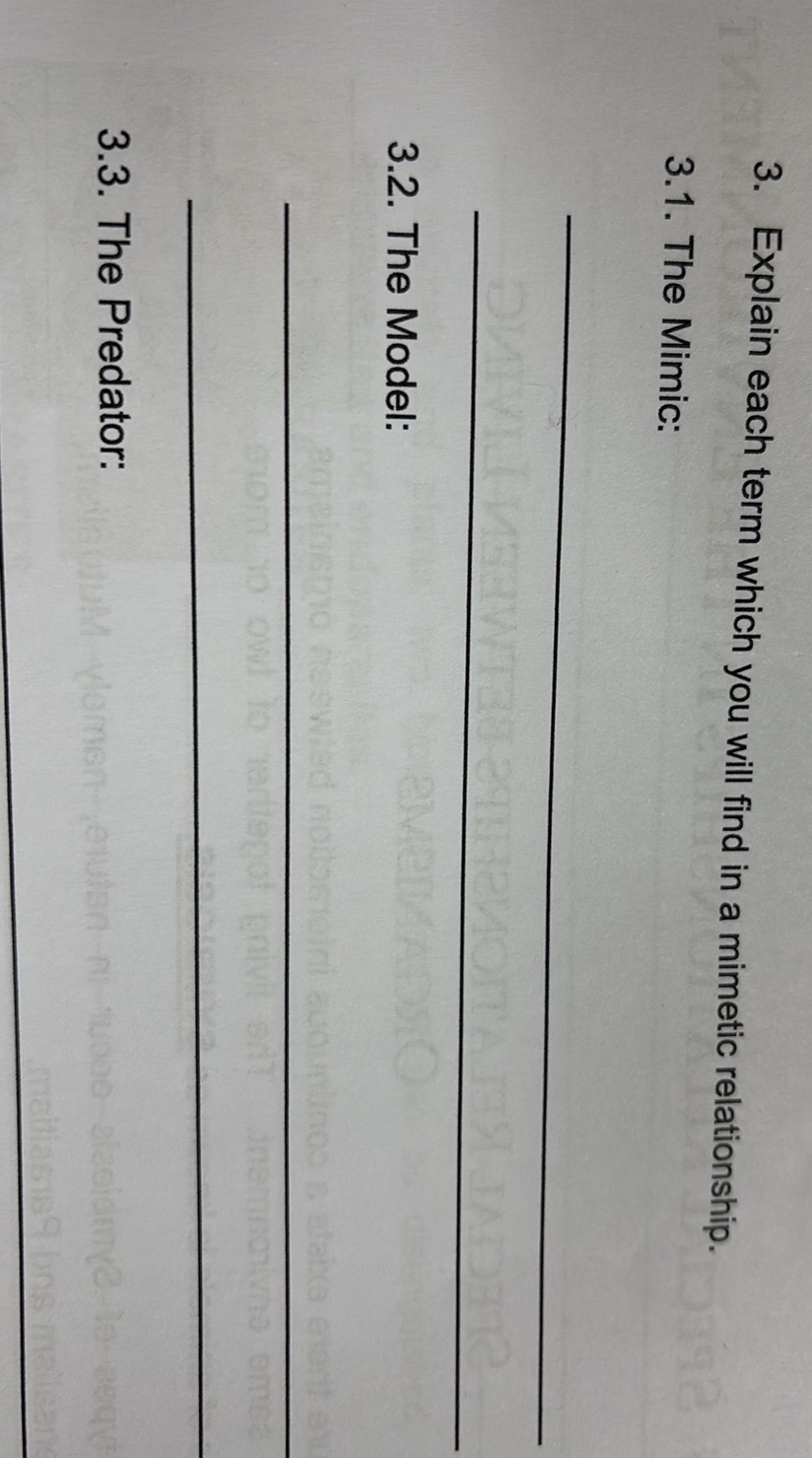 3. Explain each term which you will find in | StudyX