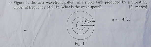 5) Figure 1. shows a wavefront pattern in a | StudyX