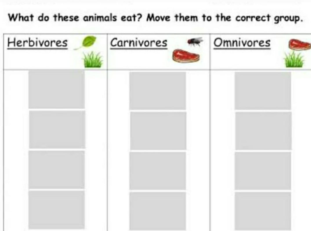 What do these animals eat? Move them to the | StudyX