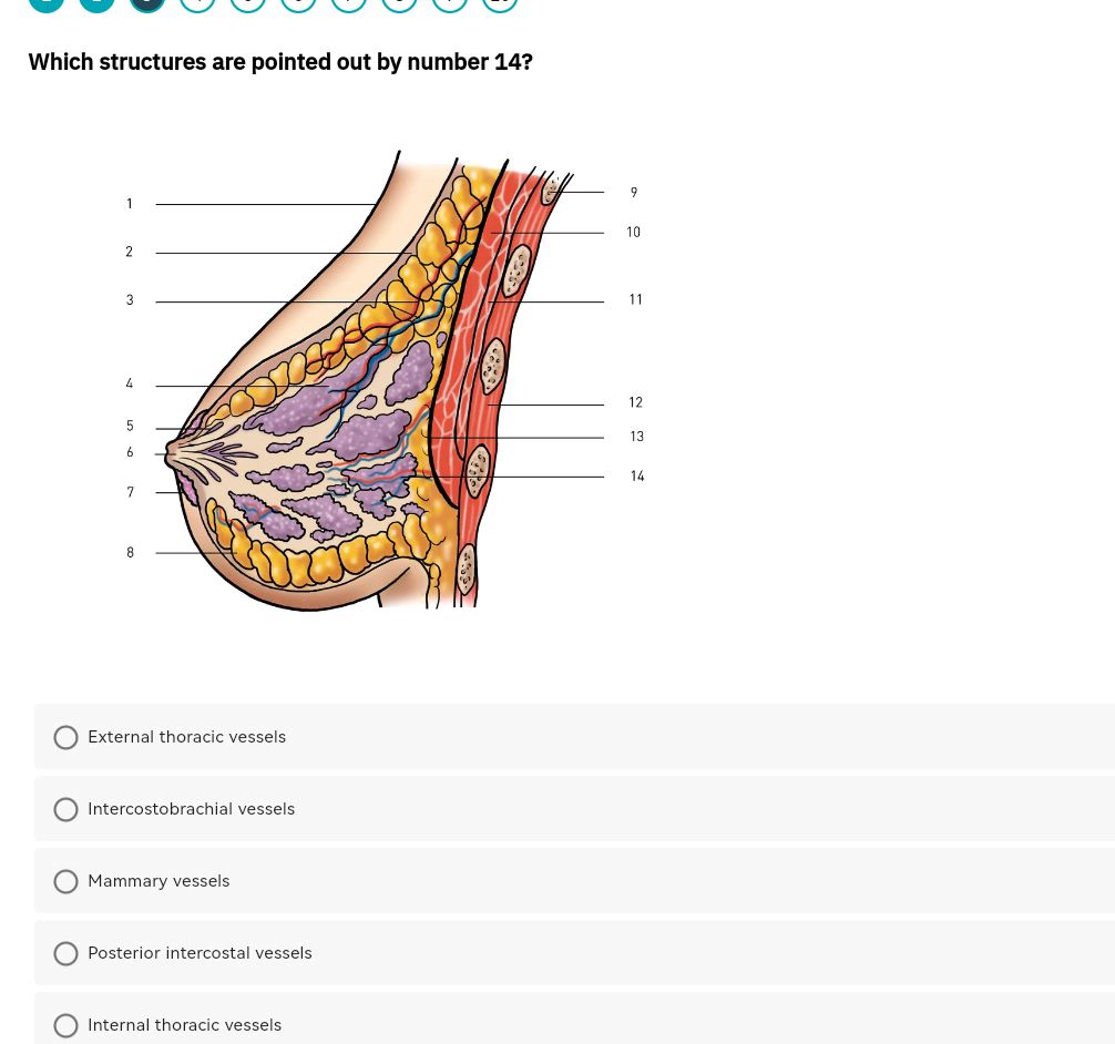 Which structures are pointed out by number | StudyX