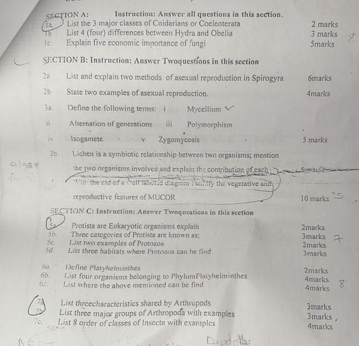 SECTION A: Instruction: Answer all questions | StudyX