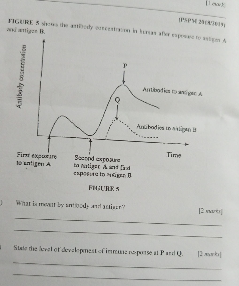 FIGURE 5 shows the antibody concentration in | StudyX