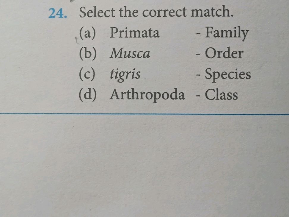 24. Select the correct match. (a) Primata - | StudyX
