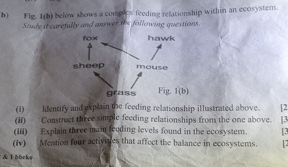 Fig. 1(b) below shows a complex feeding | StudyX