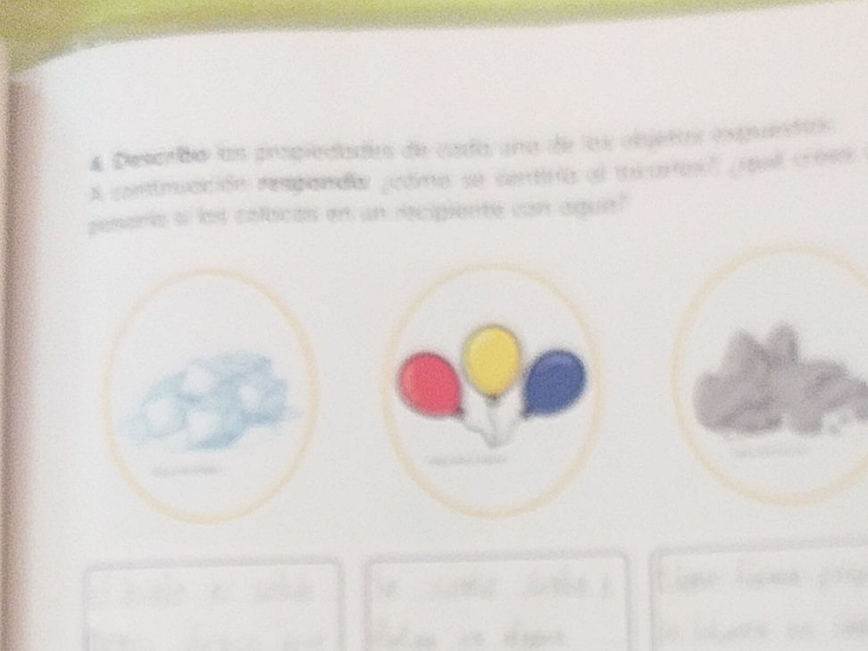4. Describo las propiedades de cada uno de | StudyX