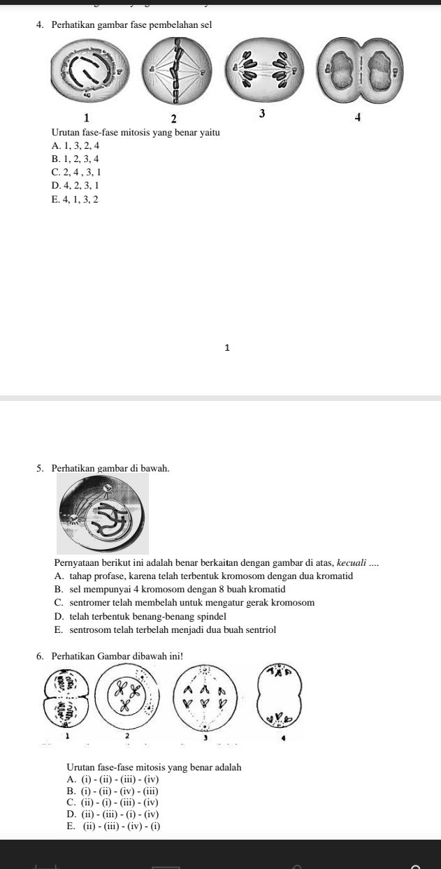4. Perhatikan gambar fase pembelahan sel 1 | StudyX