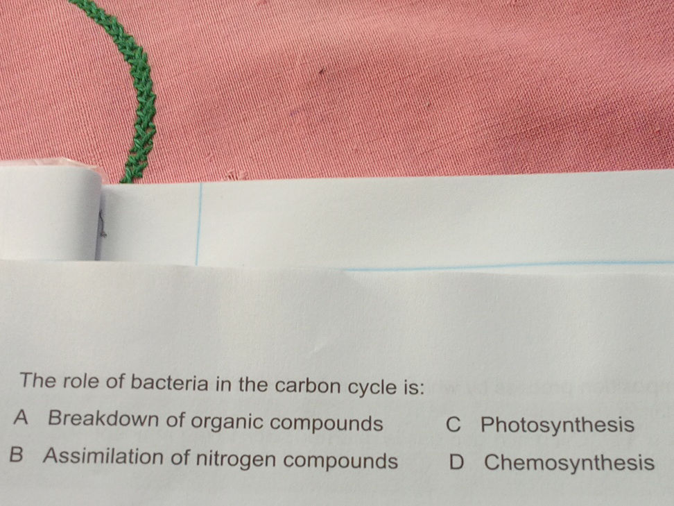 The role of bacteria in the carbon cycle is: | StudyX