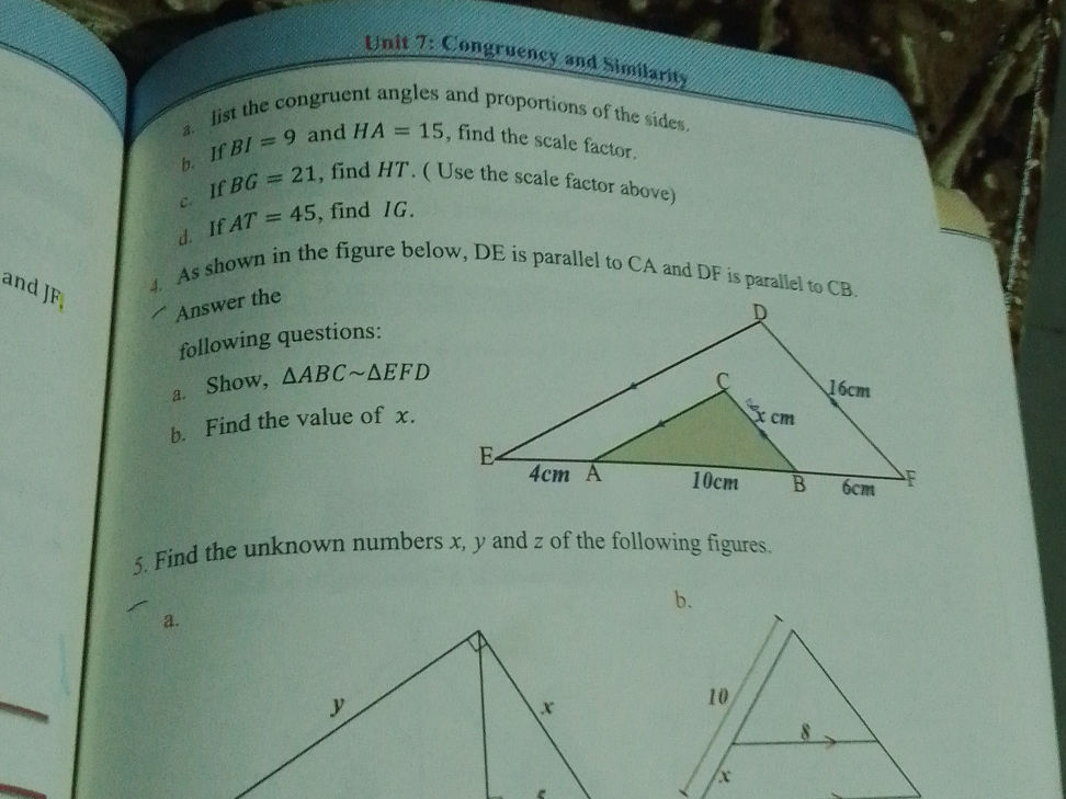 3. list the congruent angles and proportions | StudyX