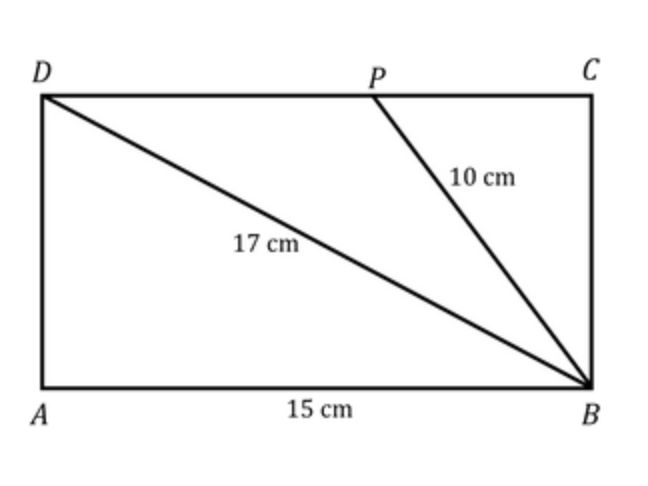 The image shows a rectangle ABCD with a line | StudyX