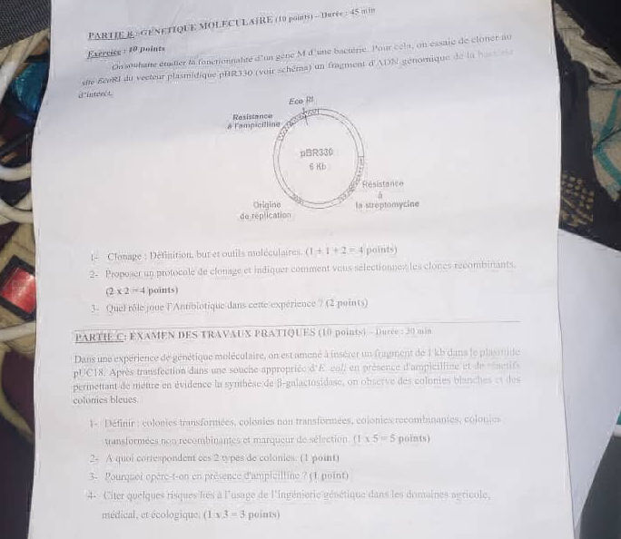 PARTIE B : GENETIQUE MOLECULAIRE (10 points) | StudyX