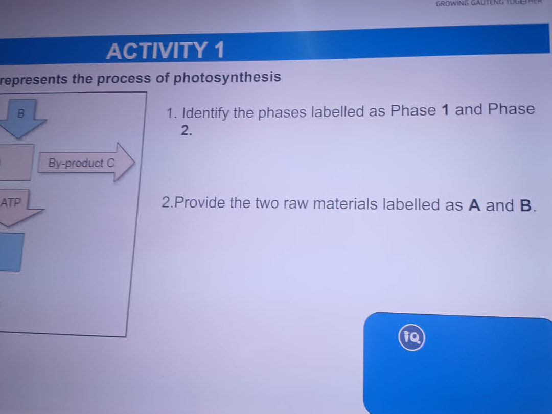 1. Identify the phases labelled as Phase 1 | StudyX