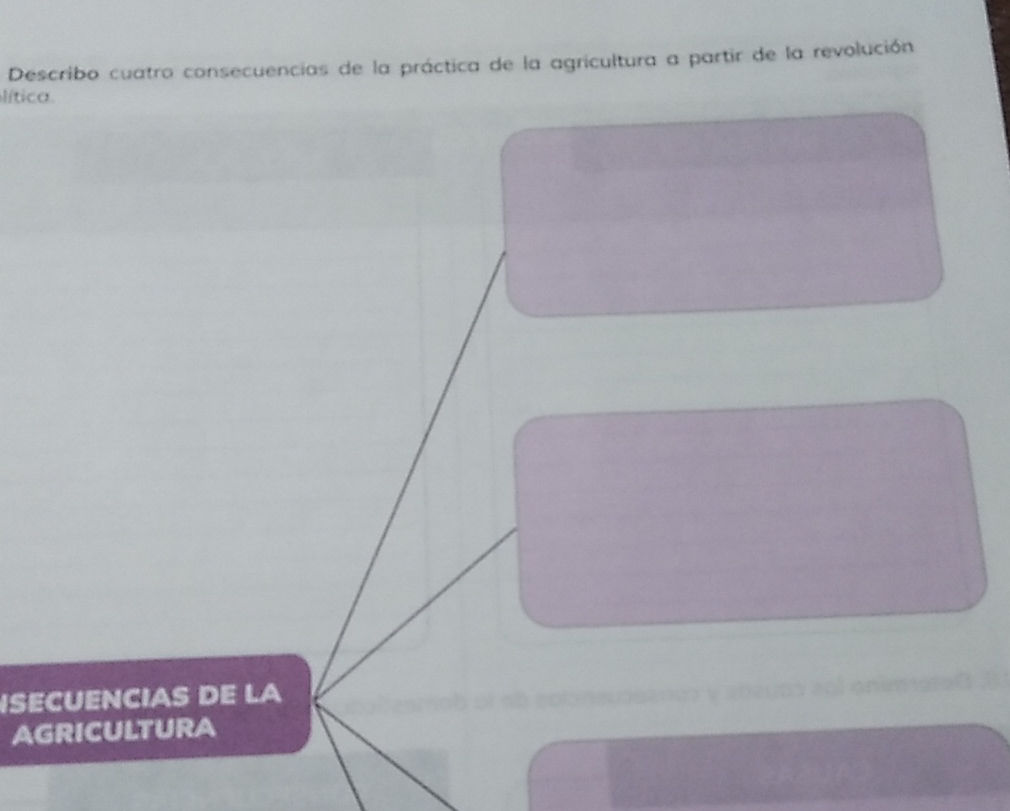 Describo cuatro consecuencias de la práctica | StudyX
