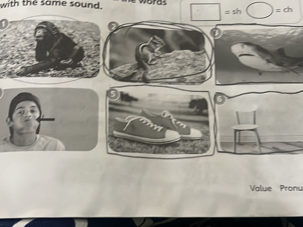 Find the words that have the same sound. 1. | StudyX