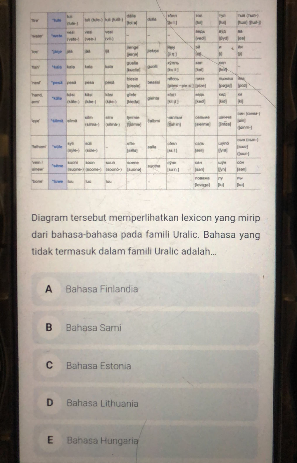 Diagram tersebut memperlihatkan lexicon yang | StudyX