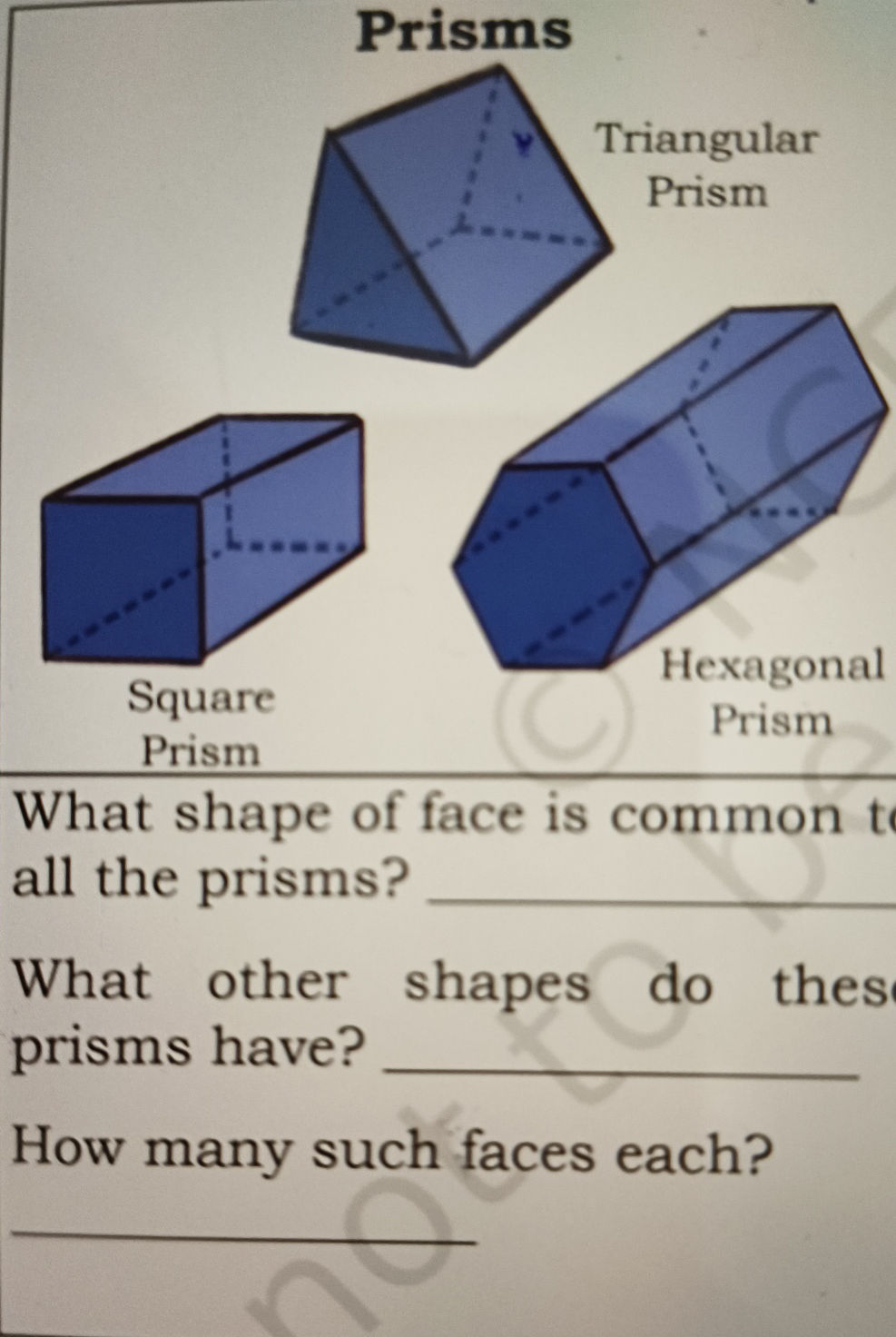 What shape of face is common to all the | StudyX