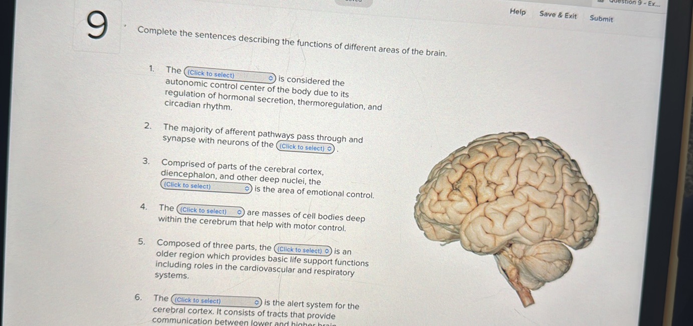 Complete the sentences describing the | StudyX