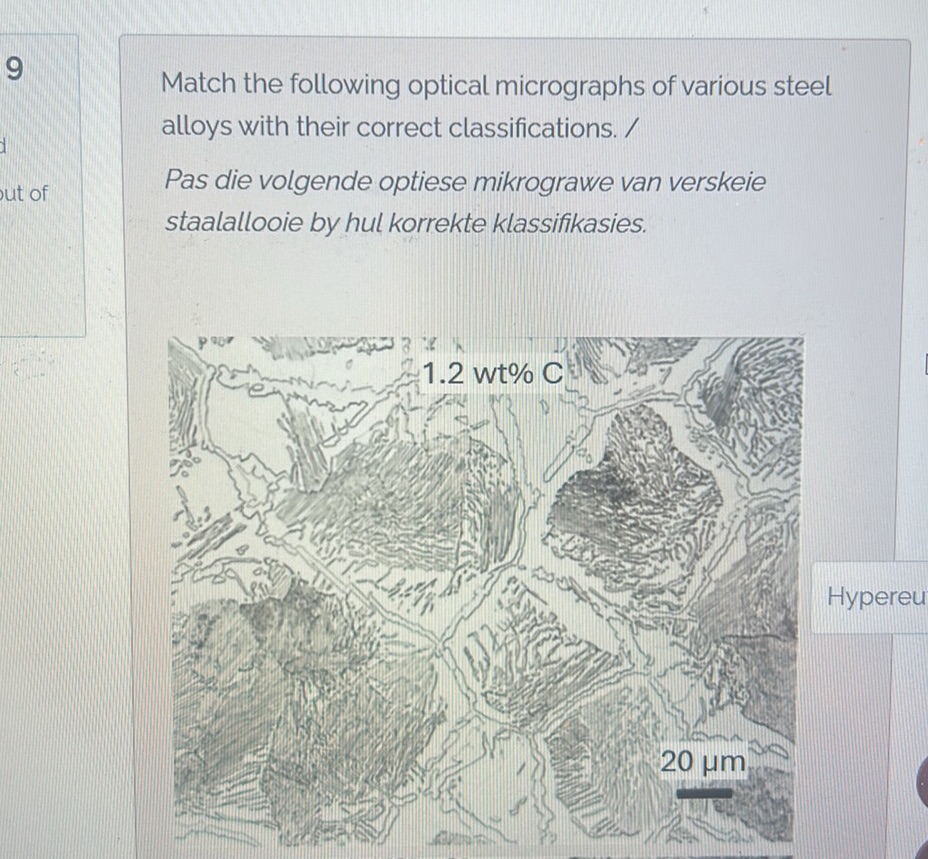 Match the following optical micrographs of | StudyX