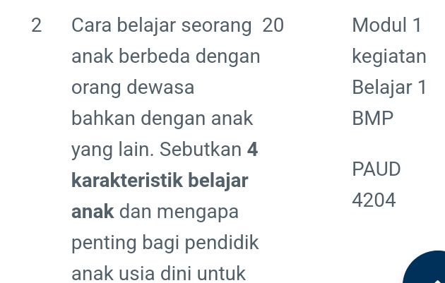Cara belajar seorang 20 anak berbeda dengan