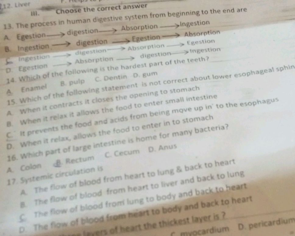 13. The process in human digestive system | StudyX