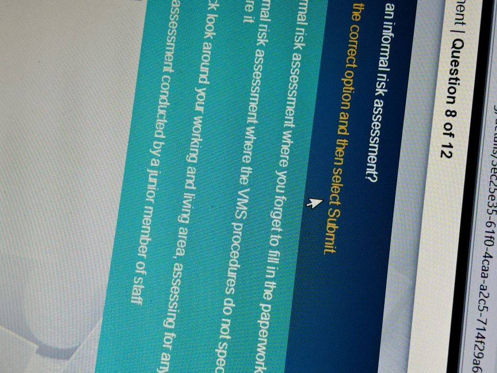 an informal risk assessment? the correct | StudyX