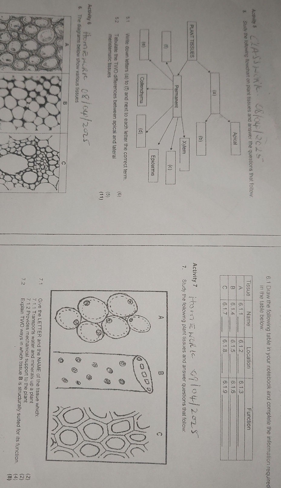 5. Study the following flowchart on plant | StudyX
