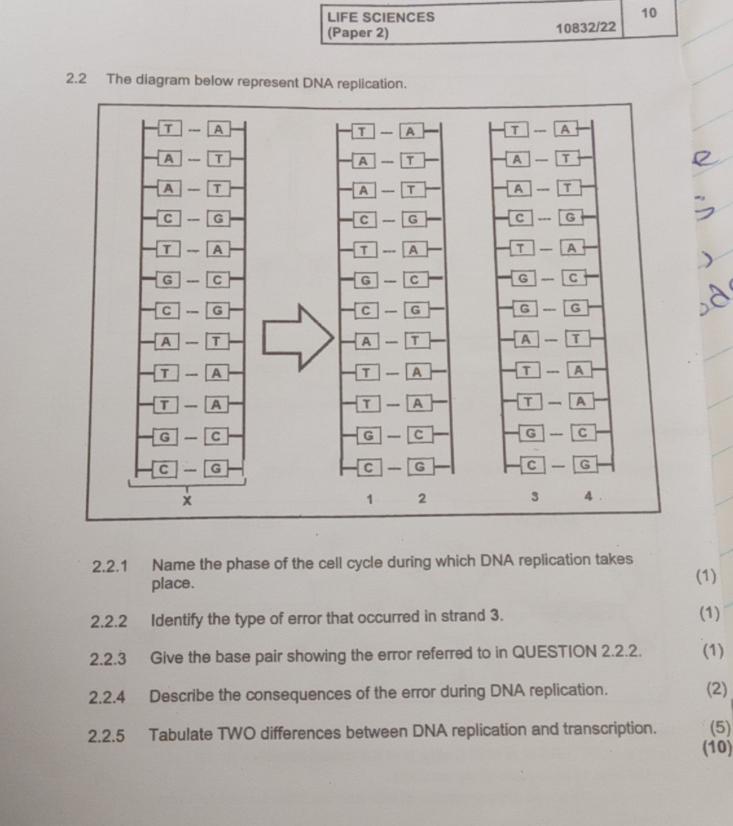 2.2 The diagram below represent DNA | StudyX