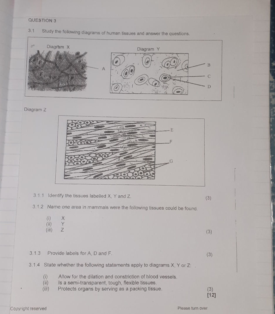 QUESTION 3 3.1 Study the following diagrams | StudyX