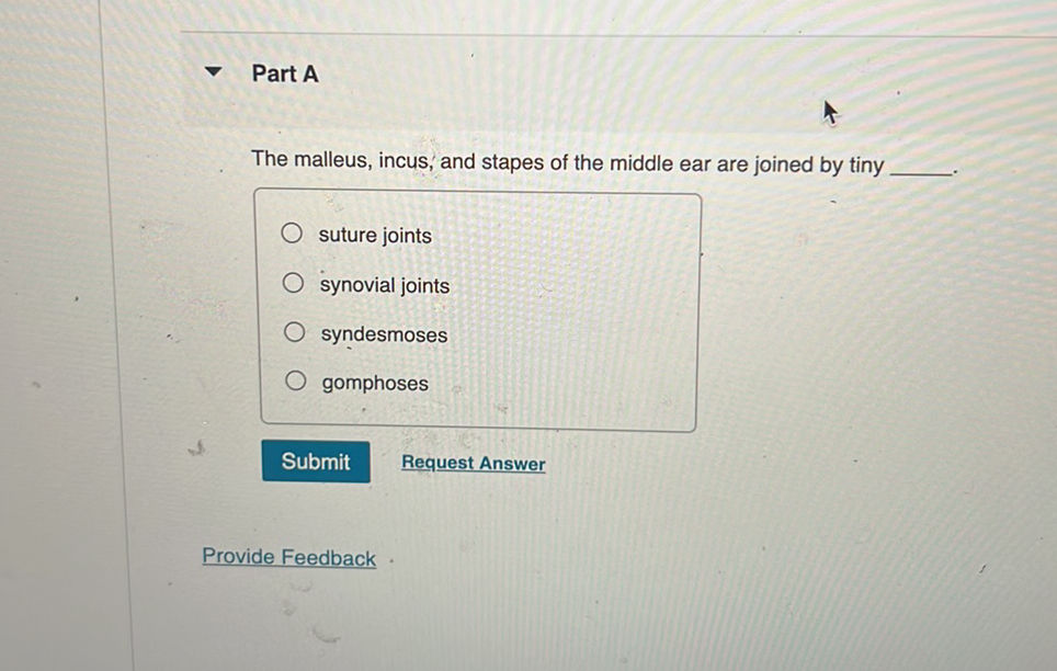 The malleus, incus, and stapes of the middle | StudyX