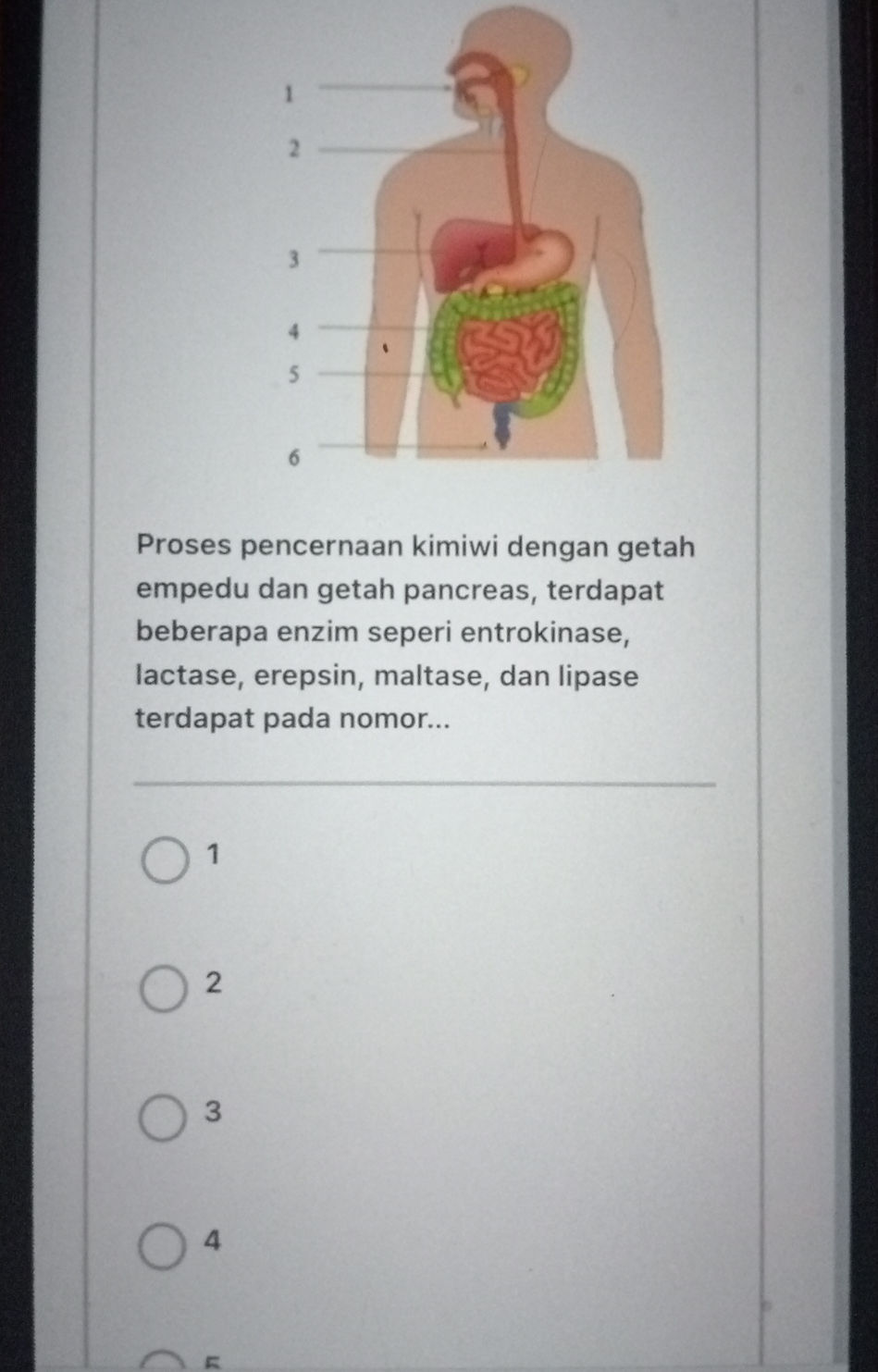 Proses pencernaan kimiwi dengan getah empedu | StudyX