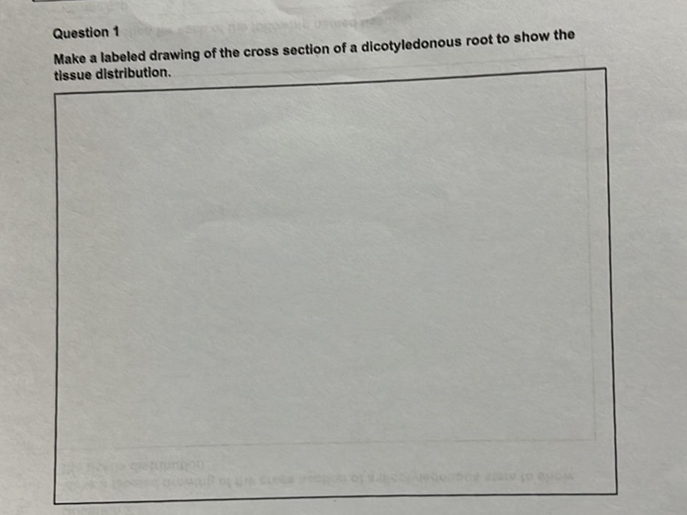 Question 1 Make a labeled drawing of the | StudyX