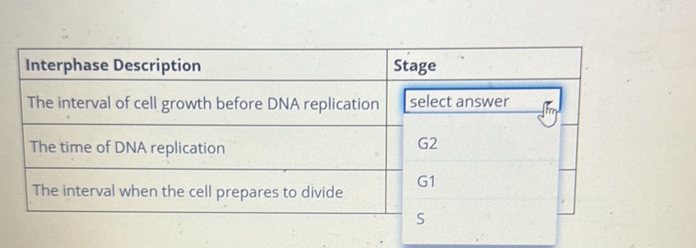 | Interphase Description | Stage | |---|---| | StudyX
