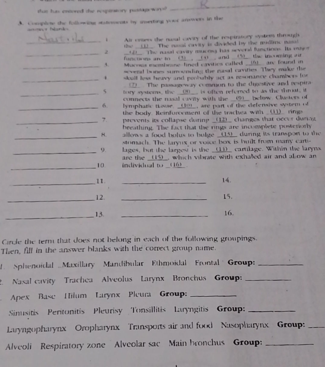 3. Complete the following statements by | StudyX