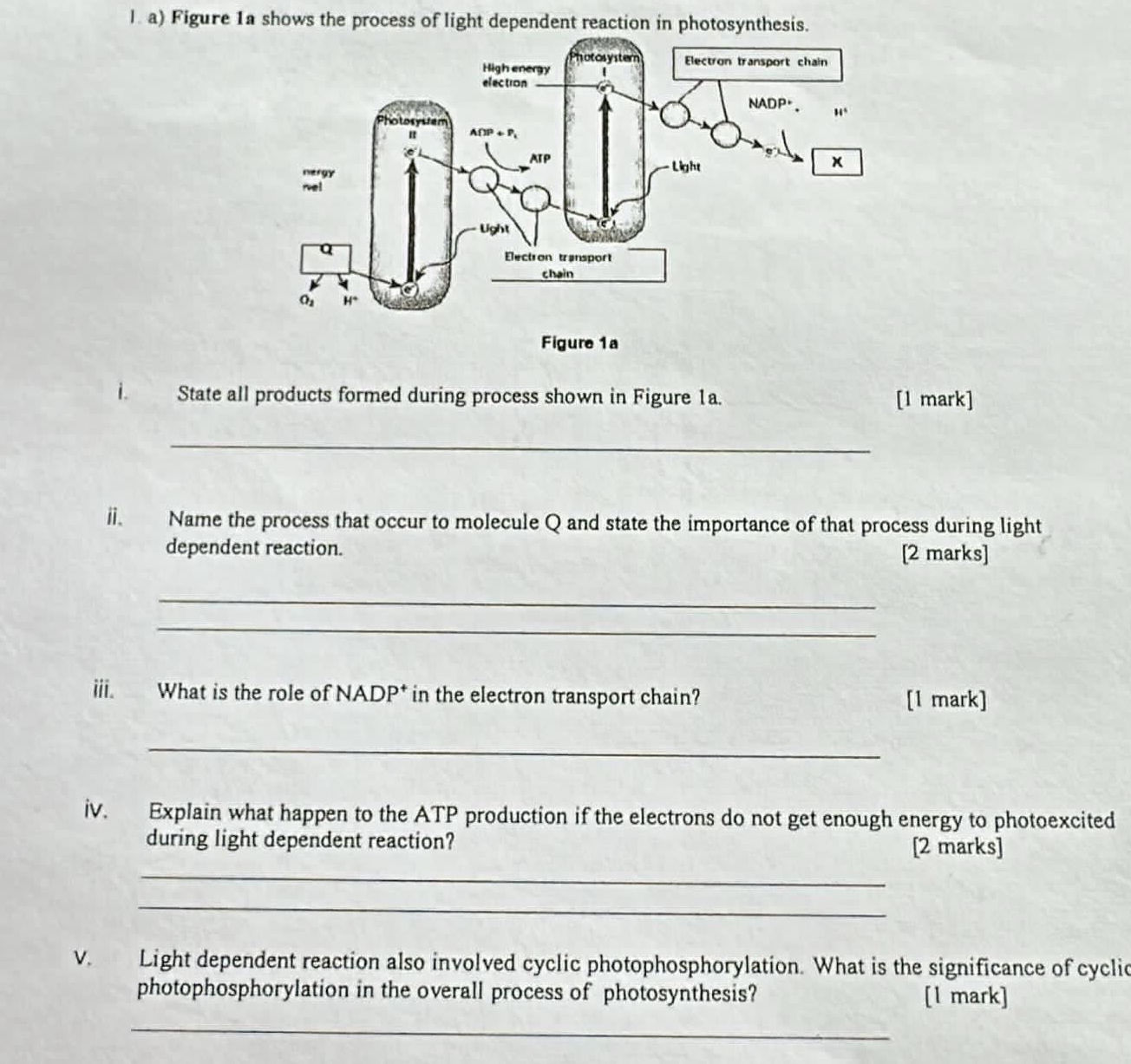 1. a) Figure 1a shows the process of light | StudyX
