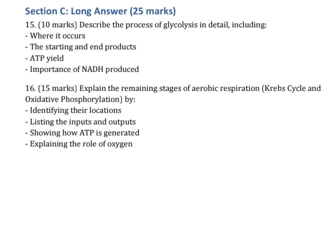 Section C: Long Answer (25 marks) 15. (10 | StudyX