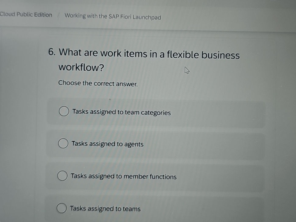 6. What are work items in a flexible | StudyX